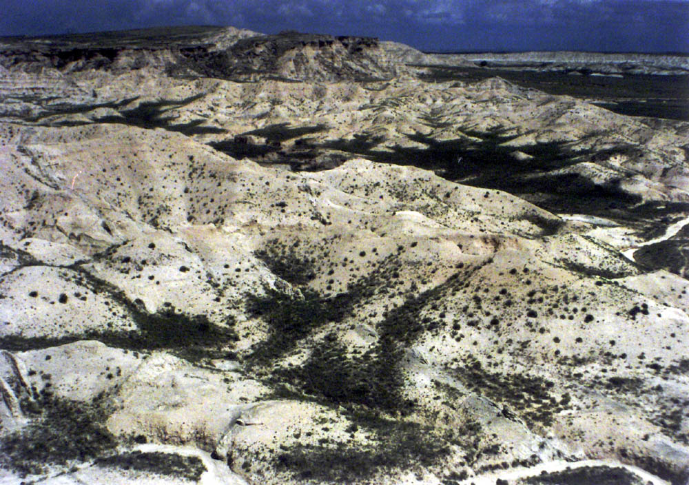 Hyaenodon